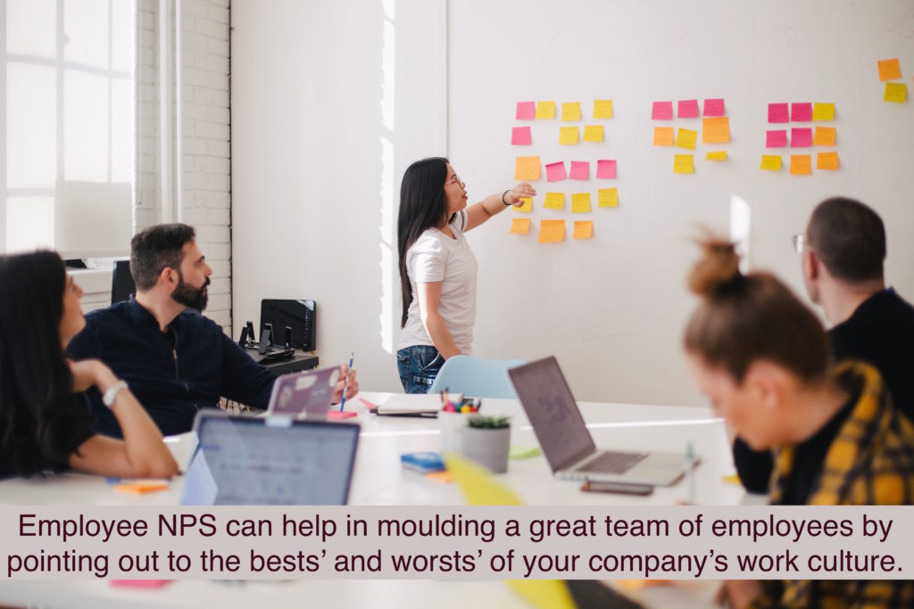 Employee NPS (Net Promoter Score): A Comprehensive Guide