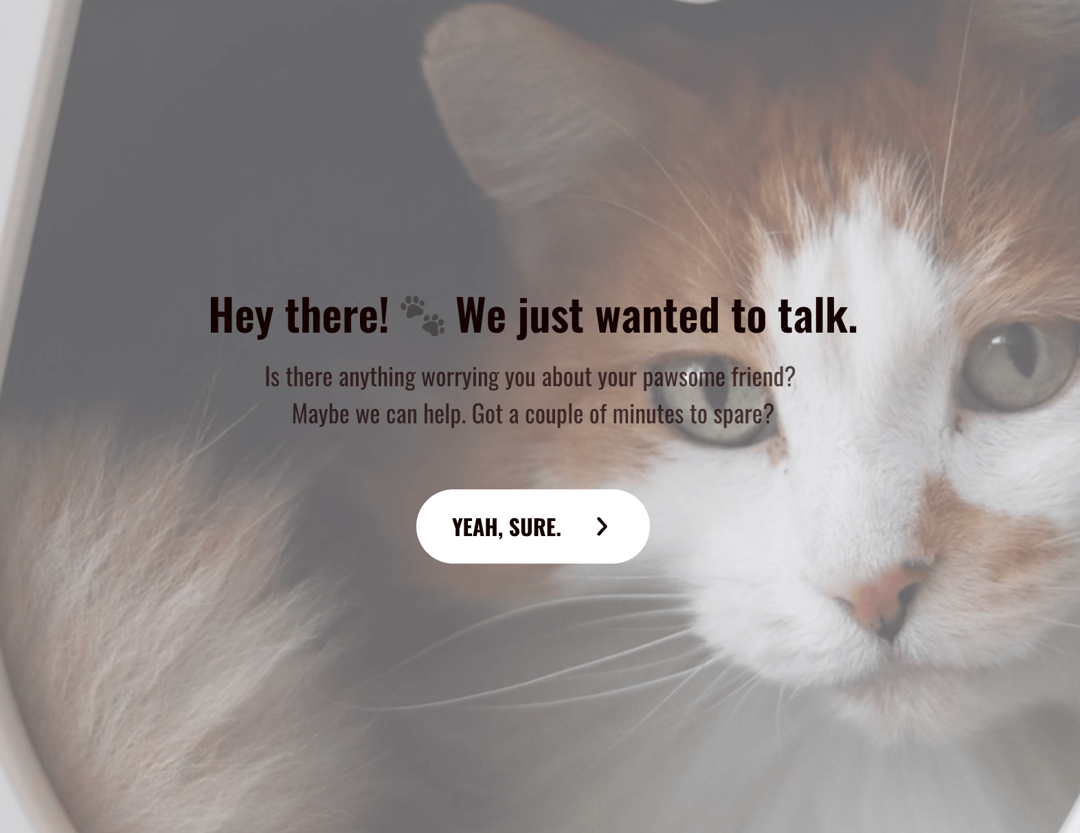 Survey Ideas for 2024: Top 30 Question Examples + Types of Surveys