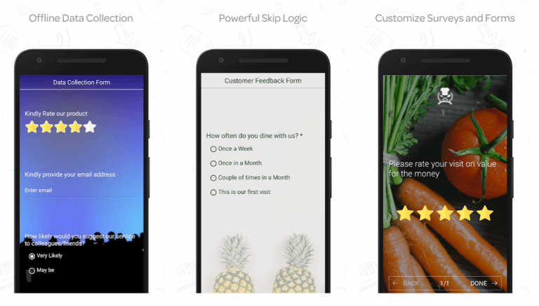Offline Survey Tool: 12 Best Tools to Help You Get the Job Done