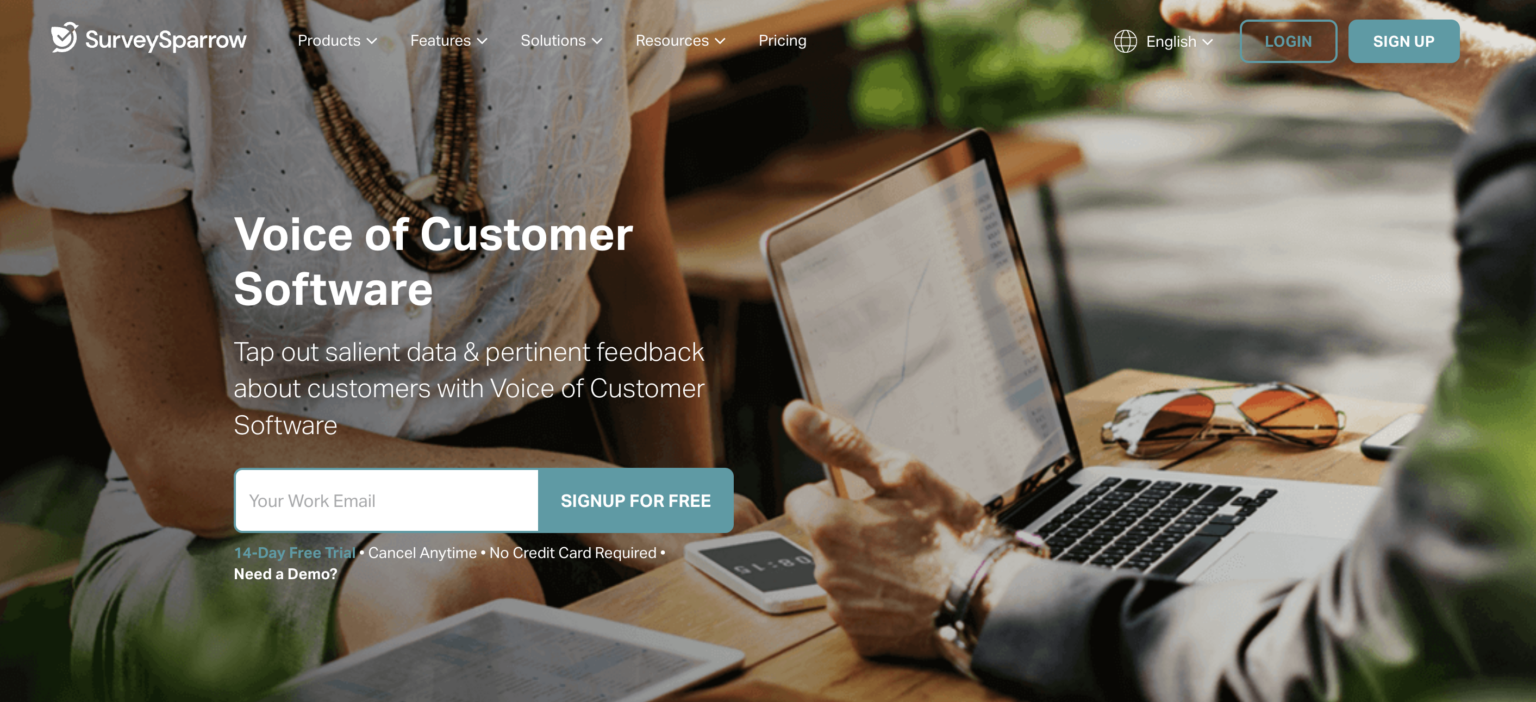 Voice of the Customer Survey: Questions, Examples,Templates & Methodologies