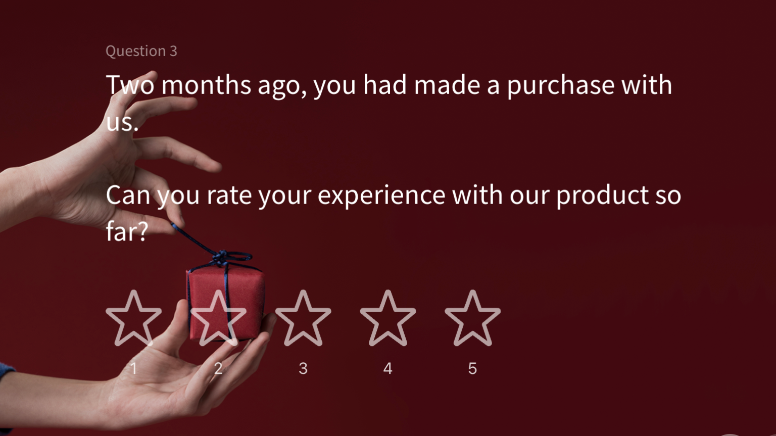 Questionnaire on eCommerce Survey: Boosting Your Business Strategy