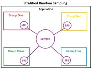 Stratified Sampling: Definition, Formula, Examples, Types